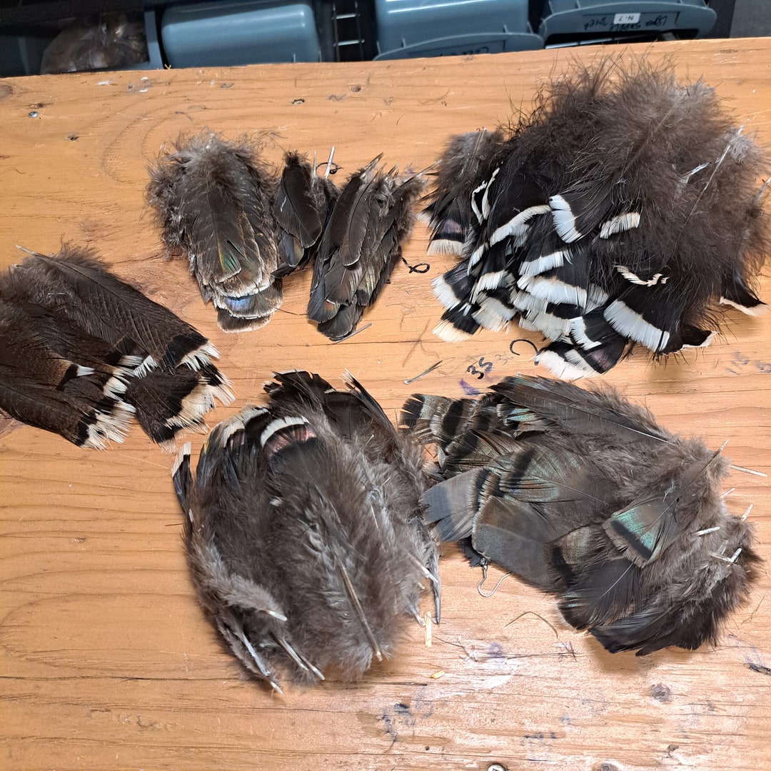 20 Assorted Turkey Tail Feathers Natural Cruelty Free - Etsy