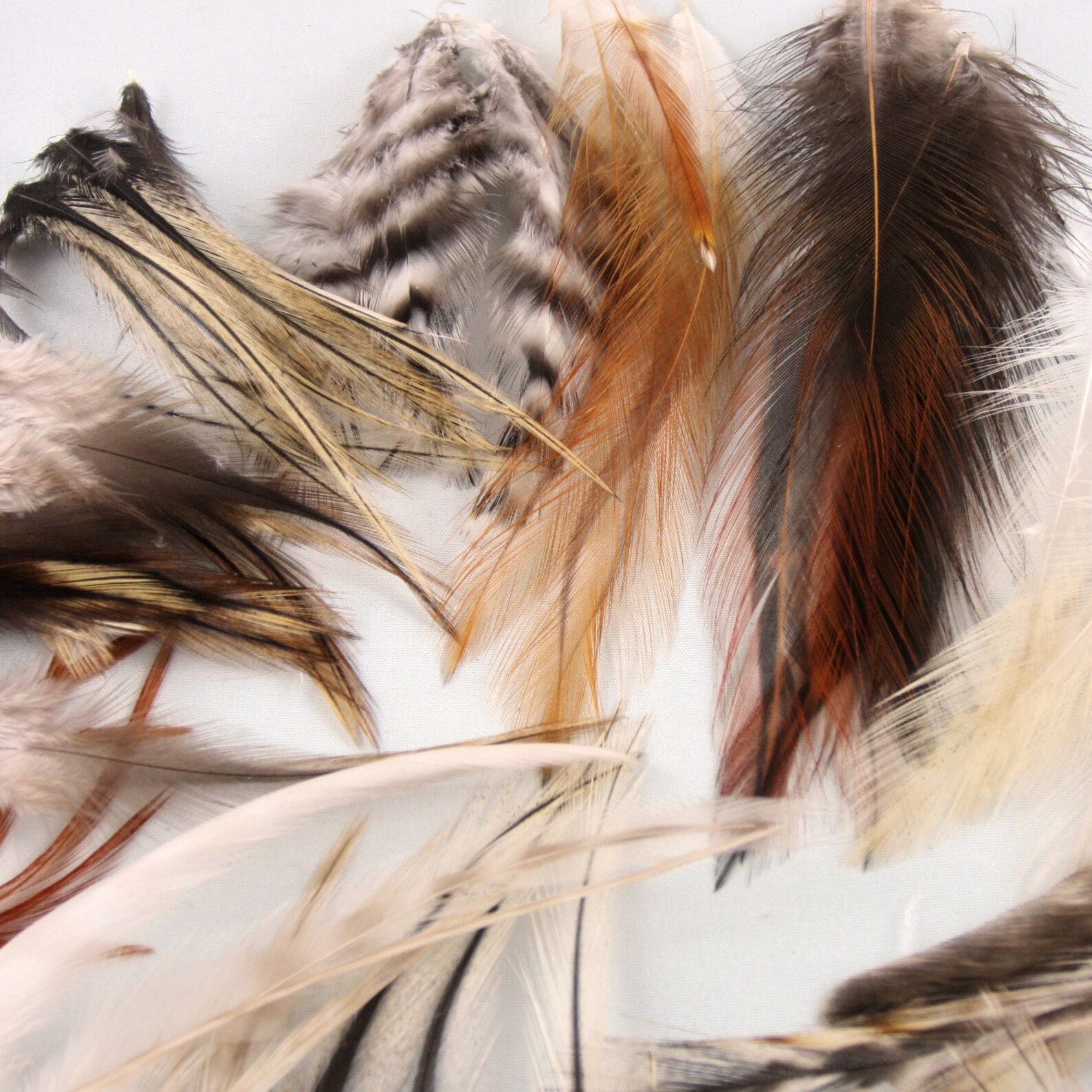 100 Feathers Assorted Natural Mix 3 to 6 Inches Craft Feathers - Etsy
