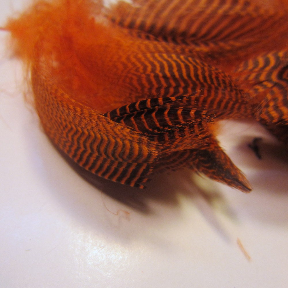 Duck Feathers Mallard Flank Orange Craft Feathers Fly Tying Fascinators ...