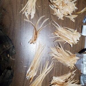 24 Light Ginger Feathers 3 to 10 Inches Craft Feathers Saddle Hackle - Etsy