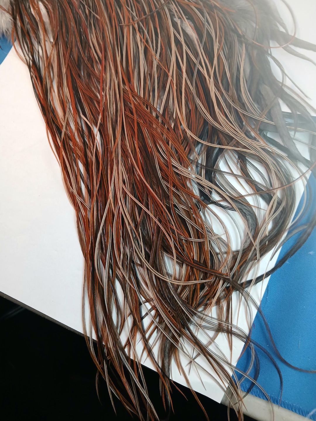 12 Furnace Thin Rooster Feather Hackles Natural Hair Extensions 6 to 12 ...