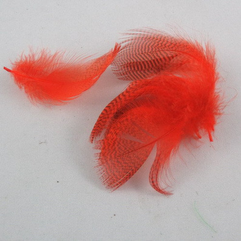 Duck Feathers Mallard Flank Orange Craft Feathers Fly Tying Fascinators ...