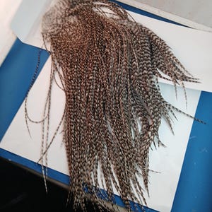 12 Long Grizzly Thin Rooster Feather Hackles Natural Hair Extensions 8 ...