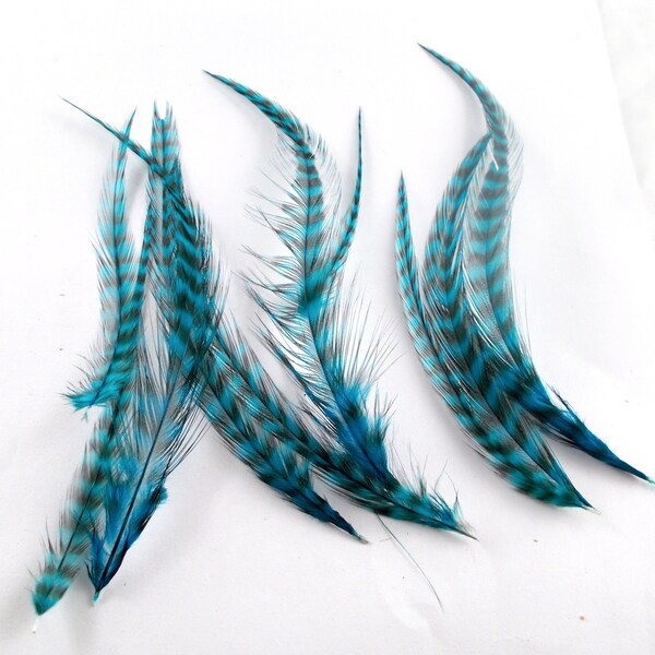 Craft Feathers - Etsy