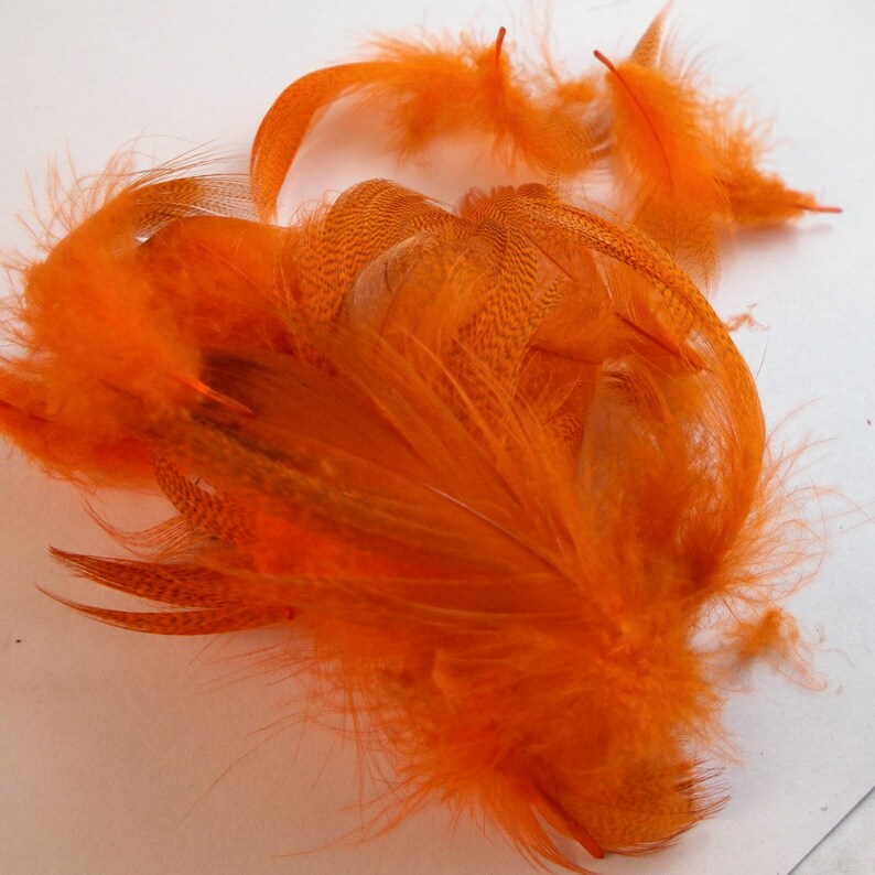 Duck Feathers Mallard Flank Orange Craft Feathers Fly Tying Fascinators ...