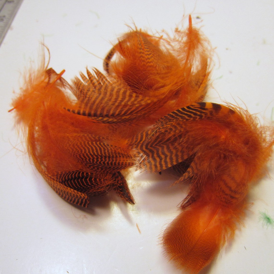 Duck Feathers Mallard Flank Orange Craft Feathers Fly Tying Fascinators ...