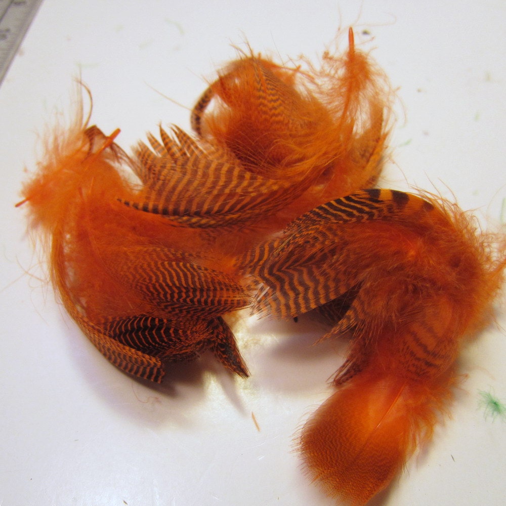 Duck Feathers Mallard Flank Orange Craft Feathers Fly Tying Fascinators ...