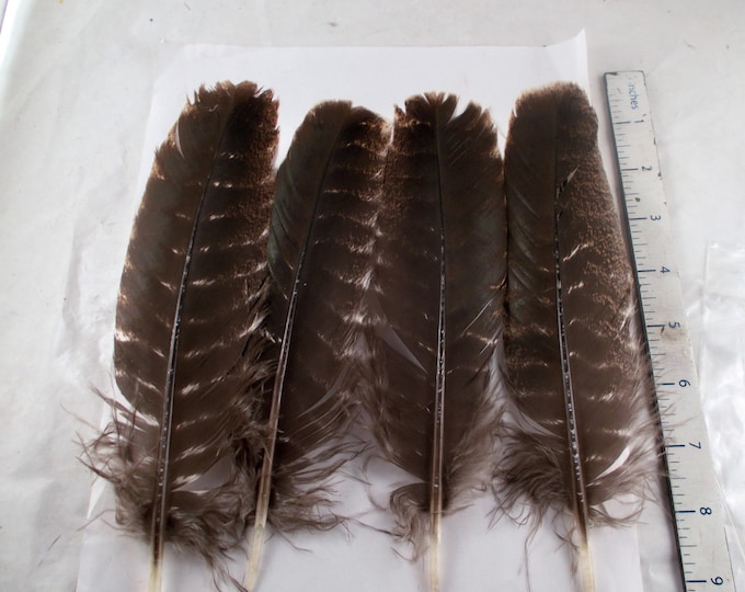 4 Mottled Eagle Tail Feathers Natural Smudge Feathers Fly Tying Turkey ...