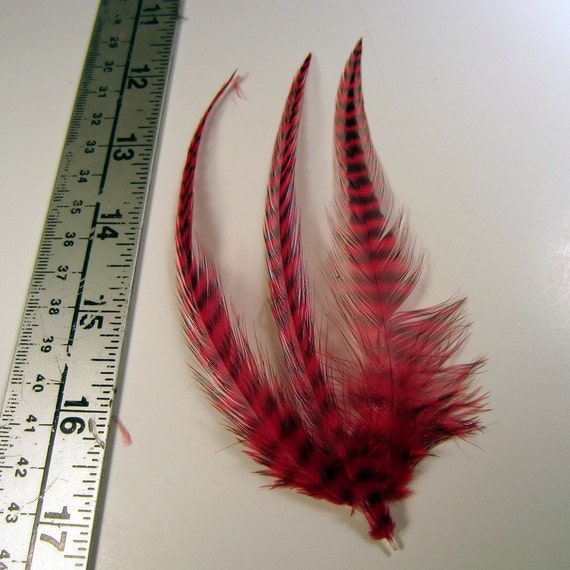 24 Red Grizzly Feathers 3 to 7 inches craft feathers Embellishments ...