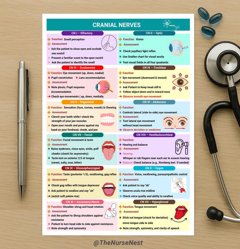 Cranial Nerves Assessment Sheet With Mnemonics | RN Nursing Cheat Sheet ...