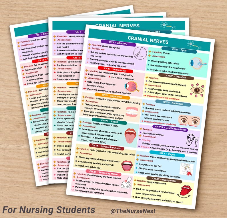 Cranial Nerves Assessment Sheet With Mnemonics | RN Nursing Cheat Sheet ...
