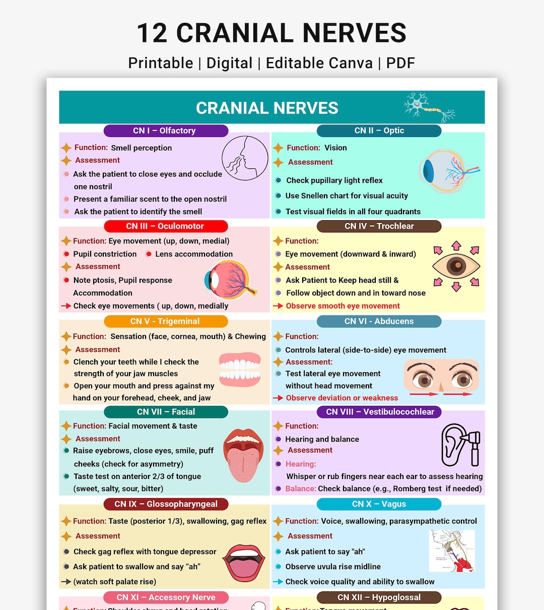 Cranial Nerves Assessment Sheet With Mnemonics | RN Nursing Cheat Sheet ...