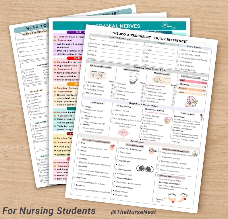 Neurological Assessment Cheat Sheet | Cranial Nerves, Glasgow Coma ...