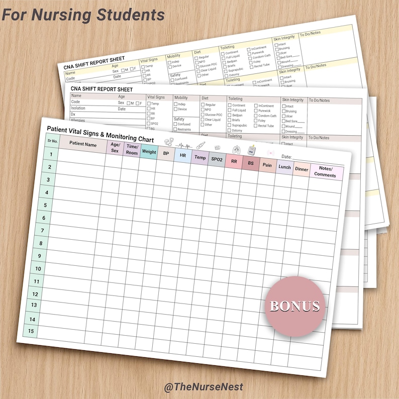 CNA Shift Report Sheet: Editable Patient Care Planner (PDF & Canva) - Etsy