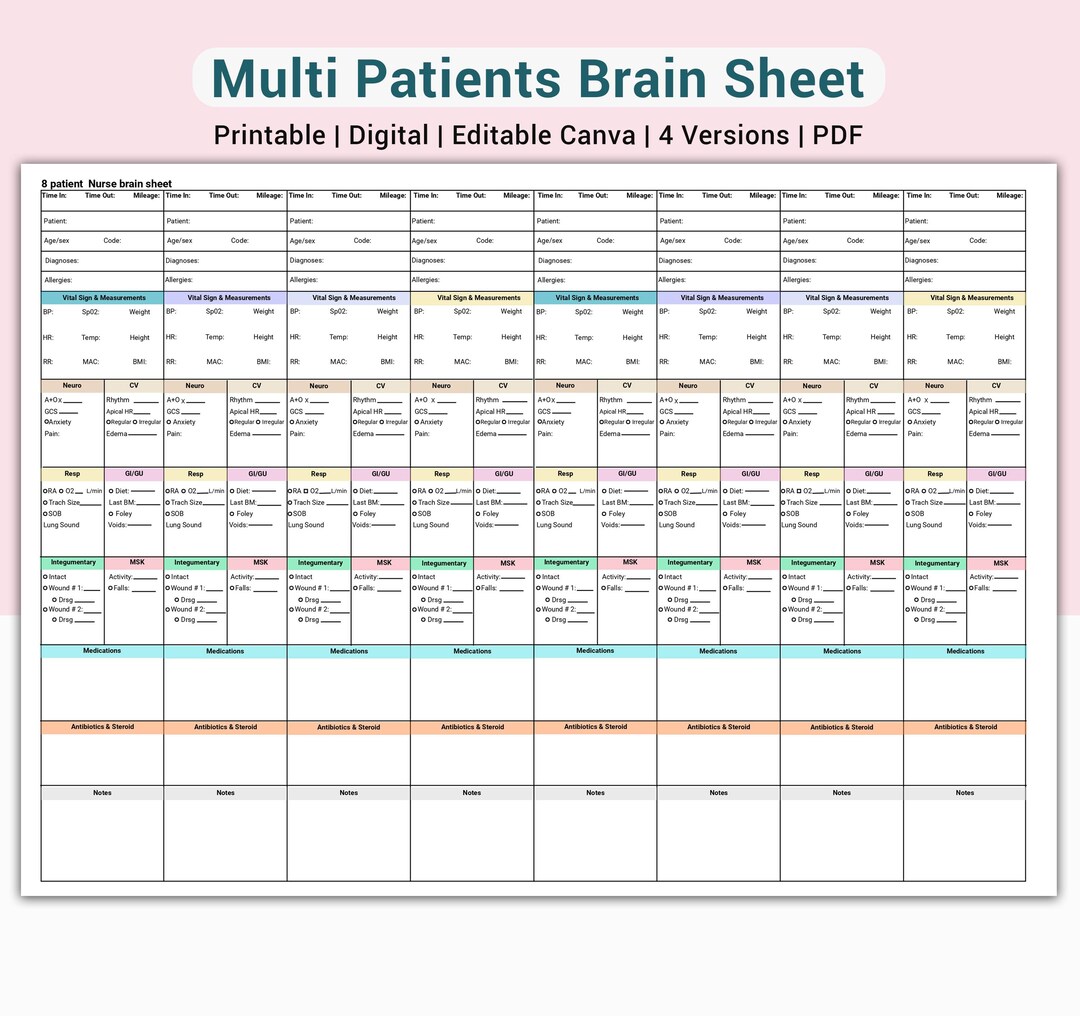Hospice Nurse Report Sheet: 8,4 Patient,vital Sign Editable Template ...