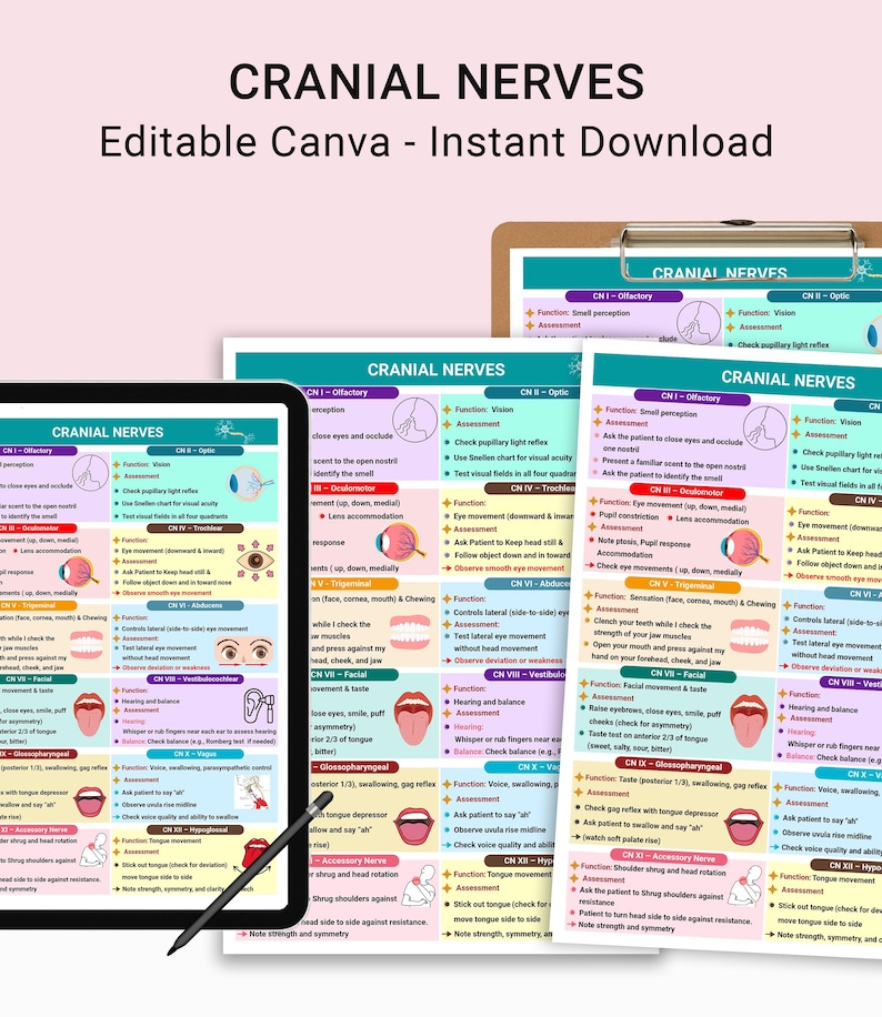 Cranial Nerves Assessment Sheet With Mnemonics | RN Nursing Cheat Sheet ...