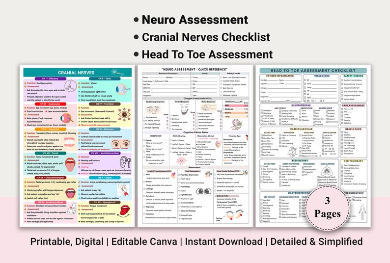 Neurological Assessment Cheat Sheet | Cranial Nerves, Glasgow Coma ...