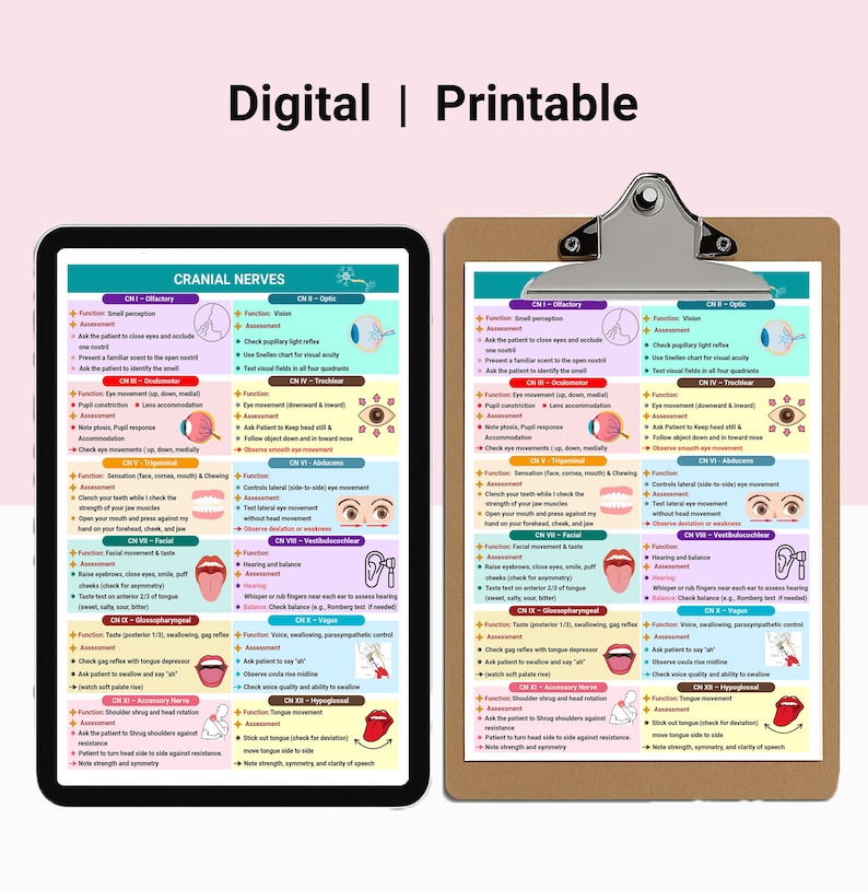 Cranial Nerves Assessment Sheet With Mnemonics | RN Nursing Cheat Sheet ...