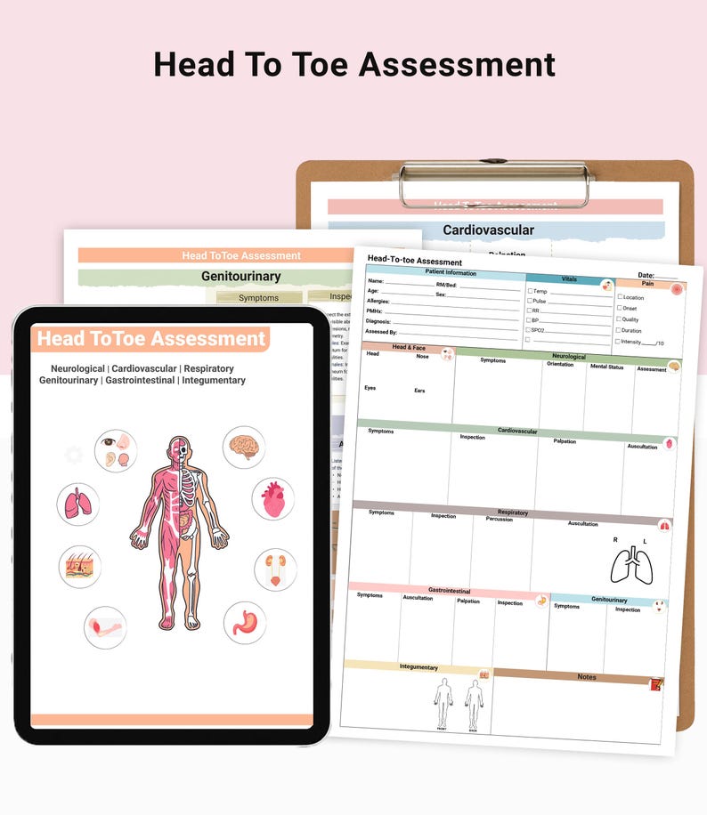 Head-to-toe Cheat Sheet for Nursing Students | Printable Health Assessment Guide | Patient ...