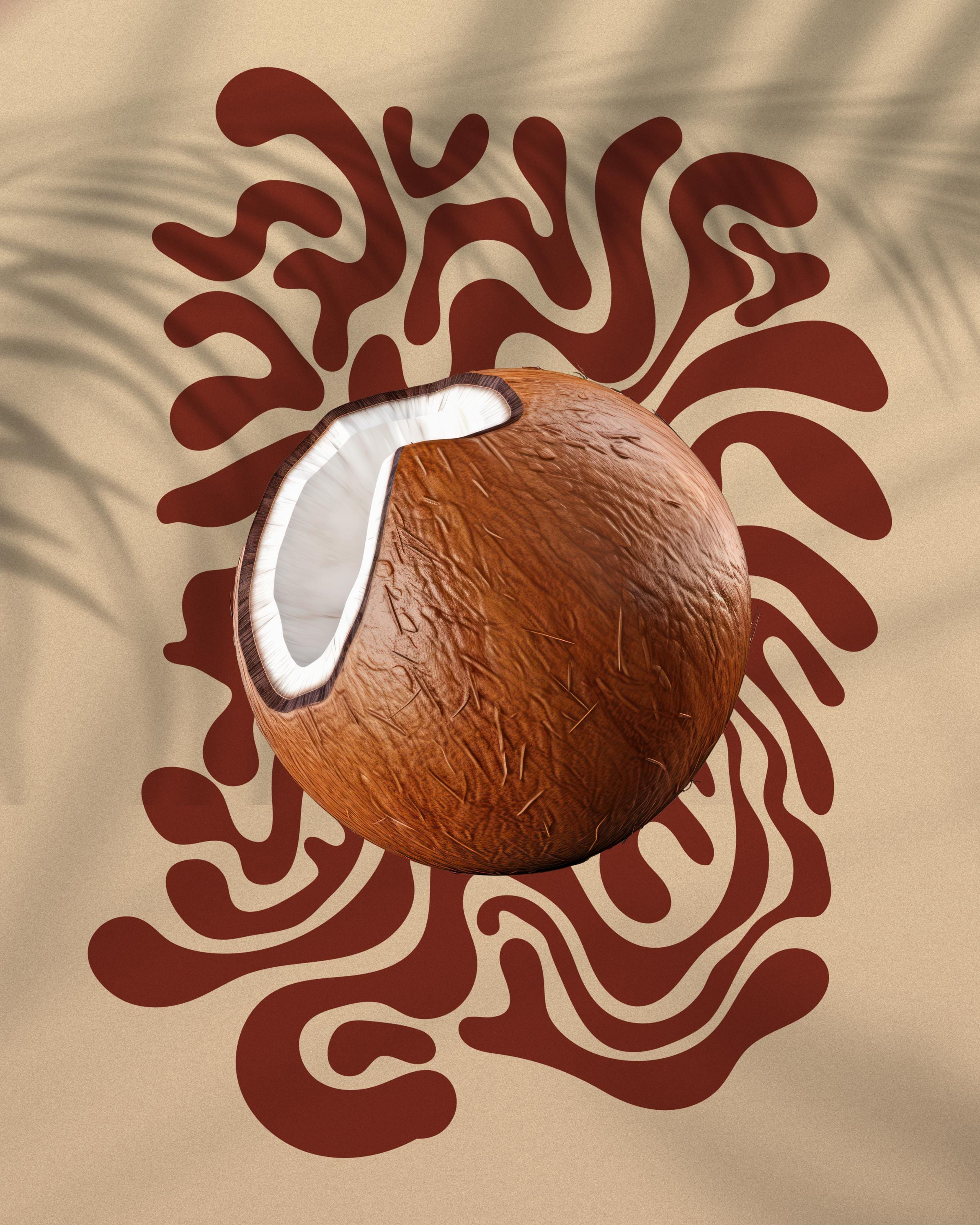 The Coconut Print 16x20 - Etsy