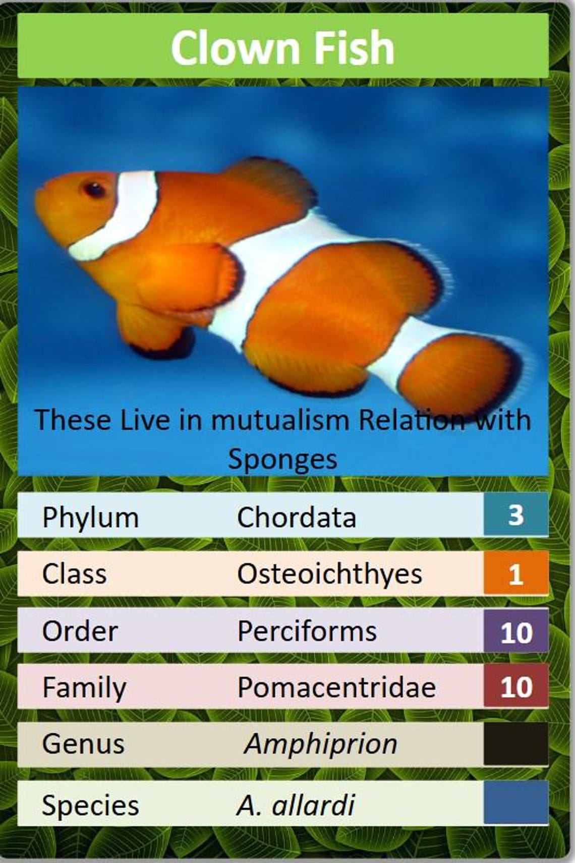 Educational Animals With Scientific Names Zoology Biology Learning ...