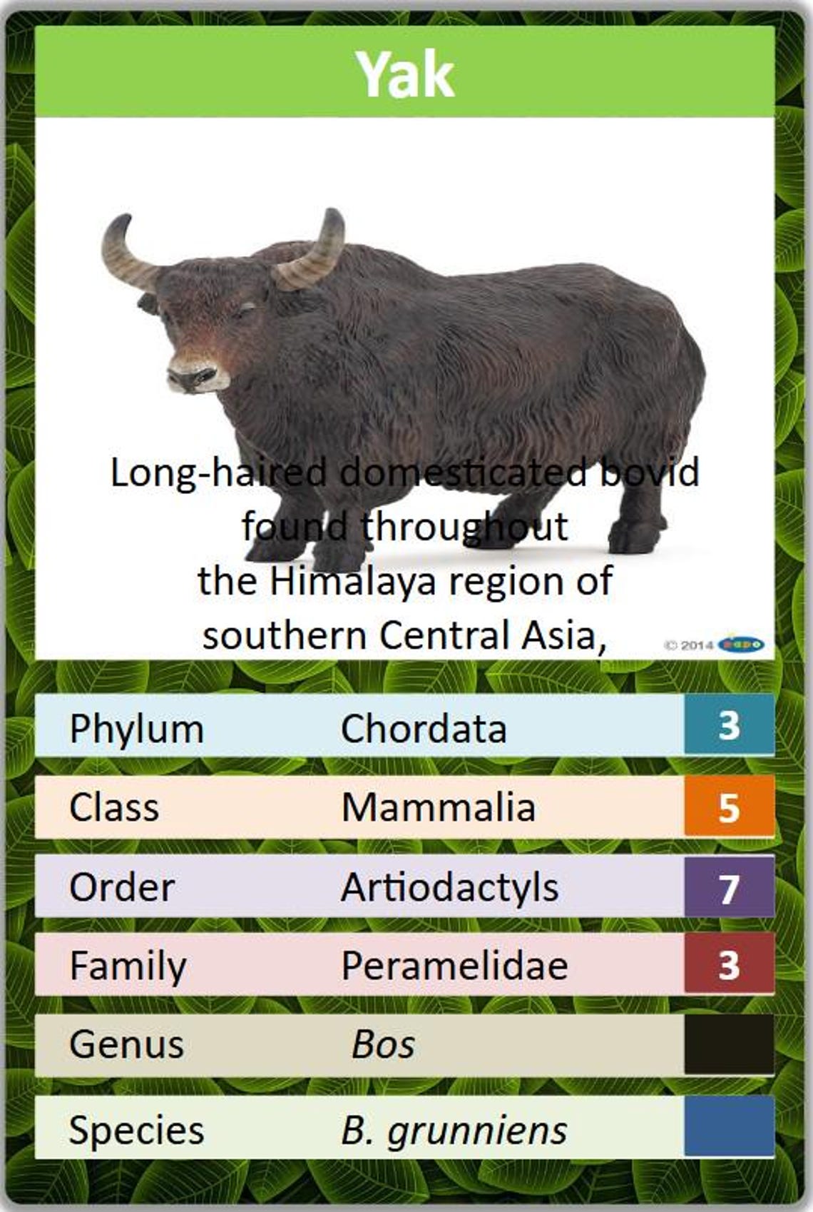 Educational Animals With Scientific Names Zoology Biology Learning ...