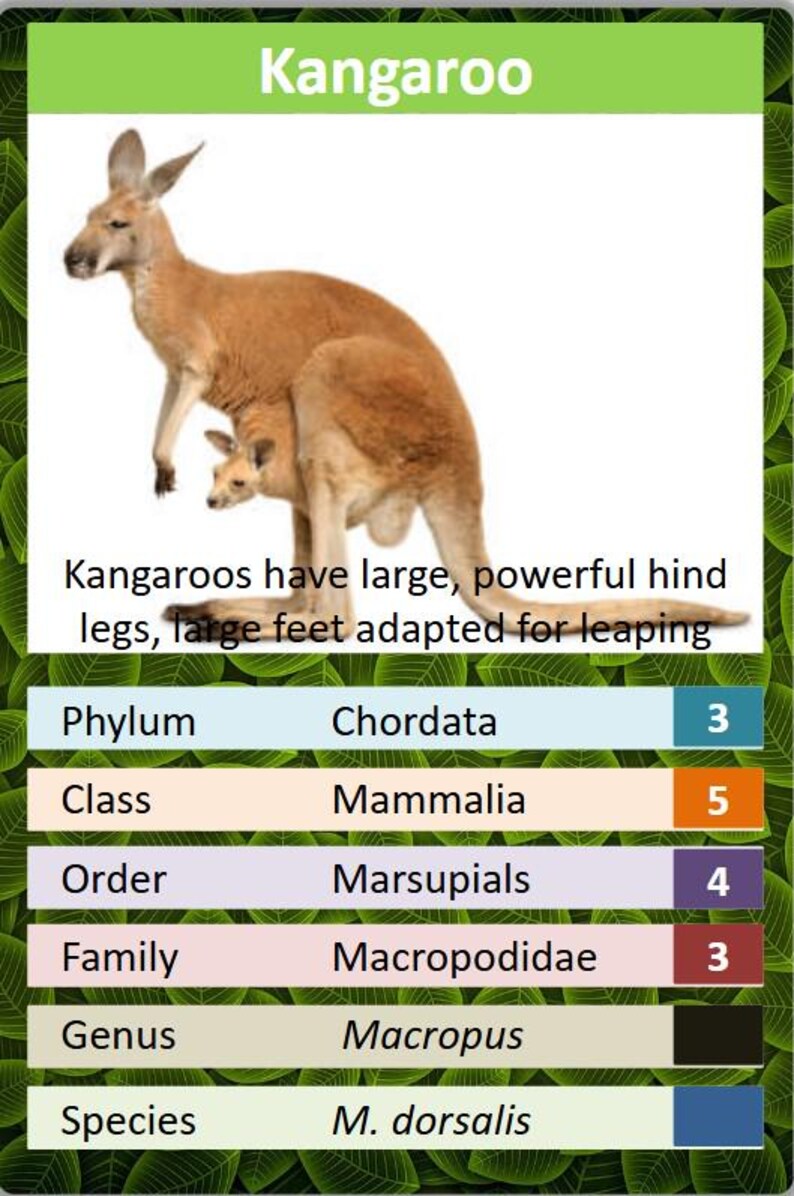 Educational Animals With Scientific Names Zoology Biology Learning ...