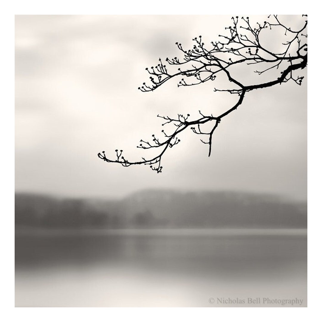 Lake Photography, Lake House Art, Minimalist Landscape, Foggy Lake ...