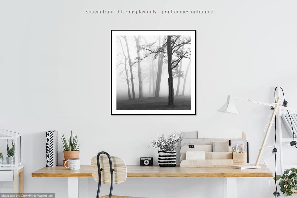 Black and White Tree Photography, Tree Print, Black and White Landscape ...