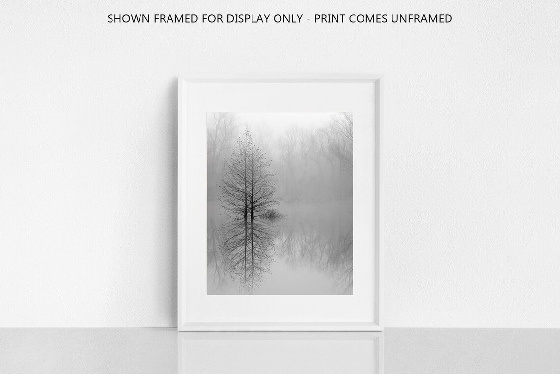 Black and White Photography, Tree Print, Tree Photography, Lake House ...