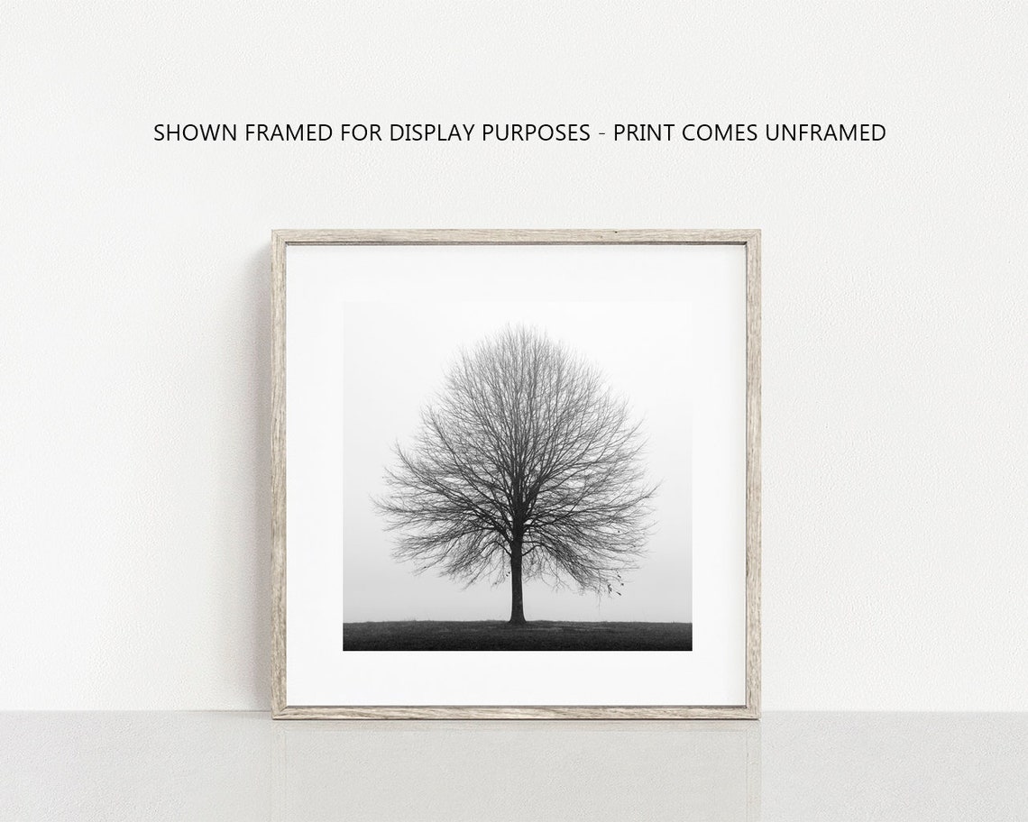 Black and White Photography, Tree Photography Print, Winter Photography ...