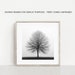 Black and White Photography, Tree Photography Print, Winter Photography ...