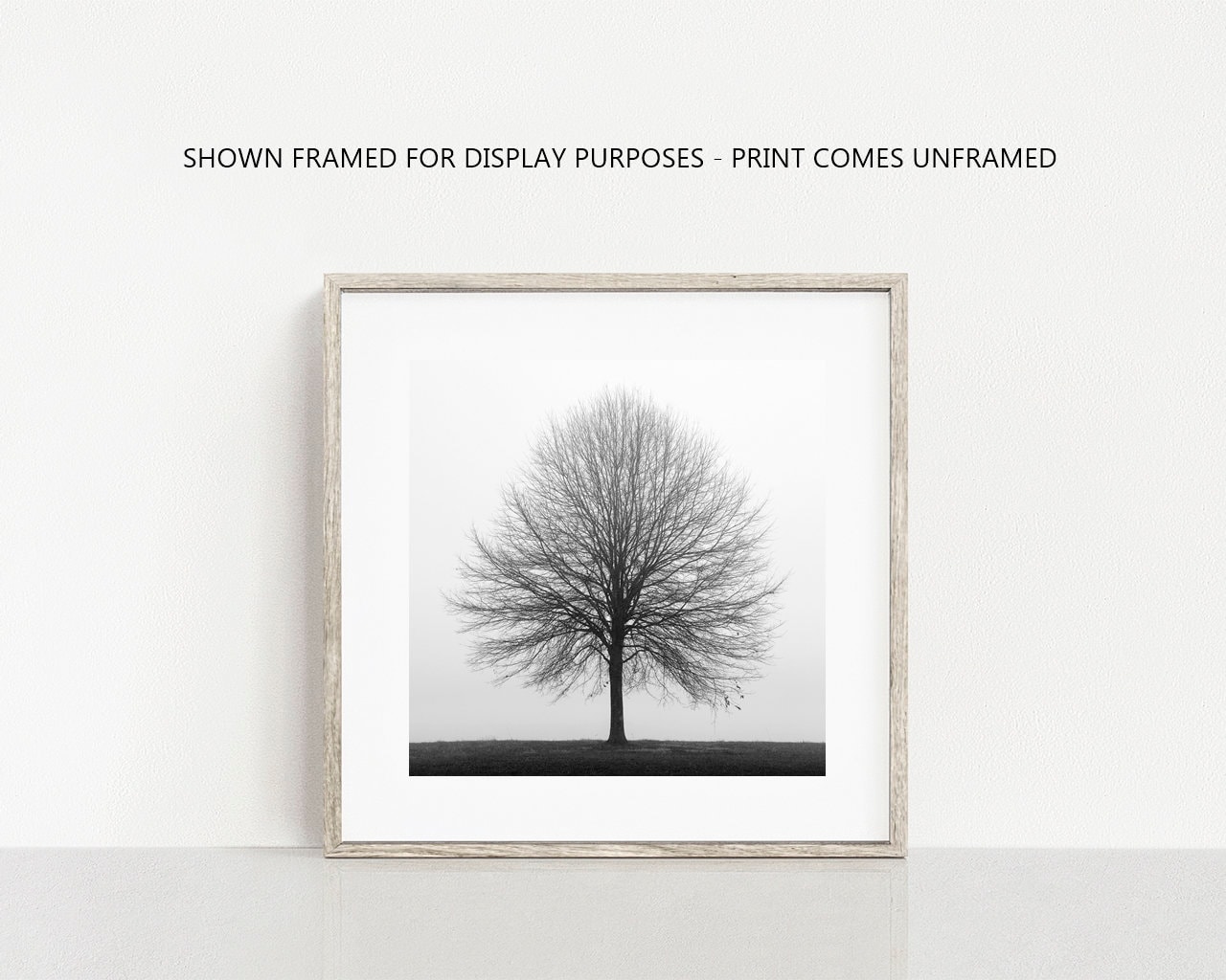 Black and White Photography, Tree Photography Print, Winter Photography ...