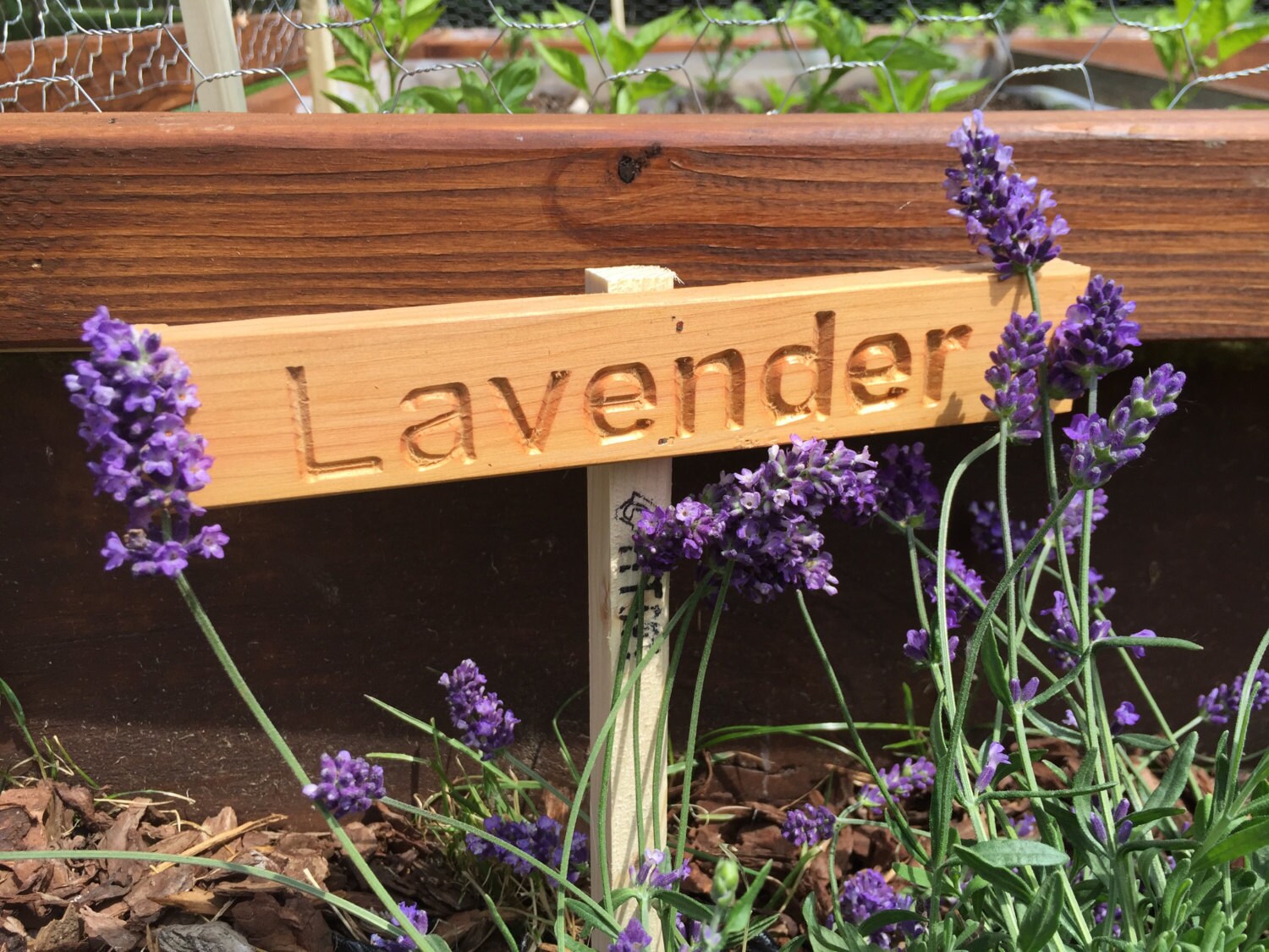 Handmade Custom Signs Personalized Bar Signs Fall Signs - Etsy