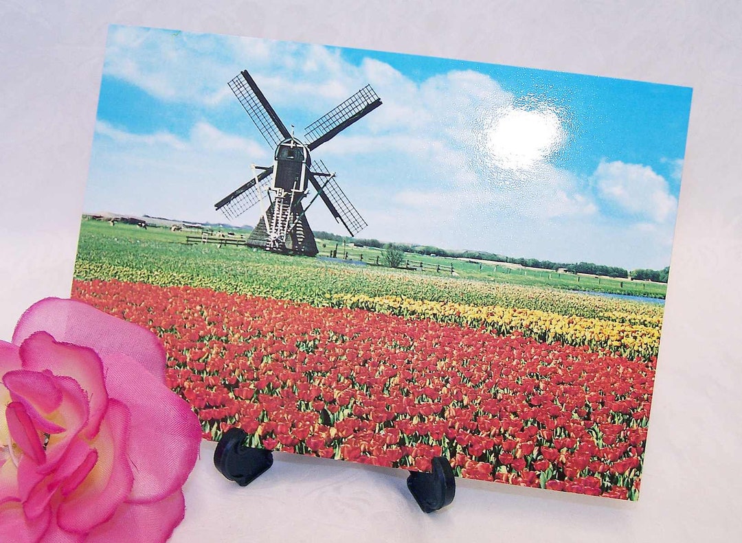 Dutch Windmill Postcard Vintage HOLLAND Postcard Souvenier - Etsy Italia