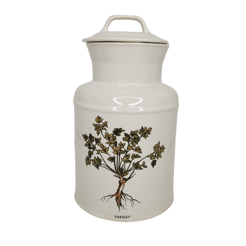 Vintage 1970s Mccoy Pottery Canister, Parsley Herb Theme, Retro Kitchen ...