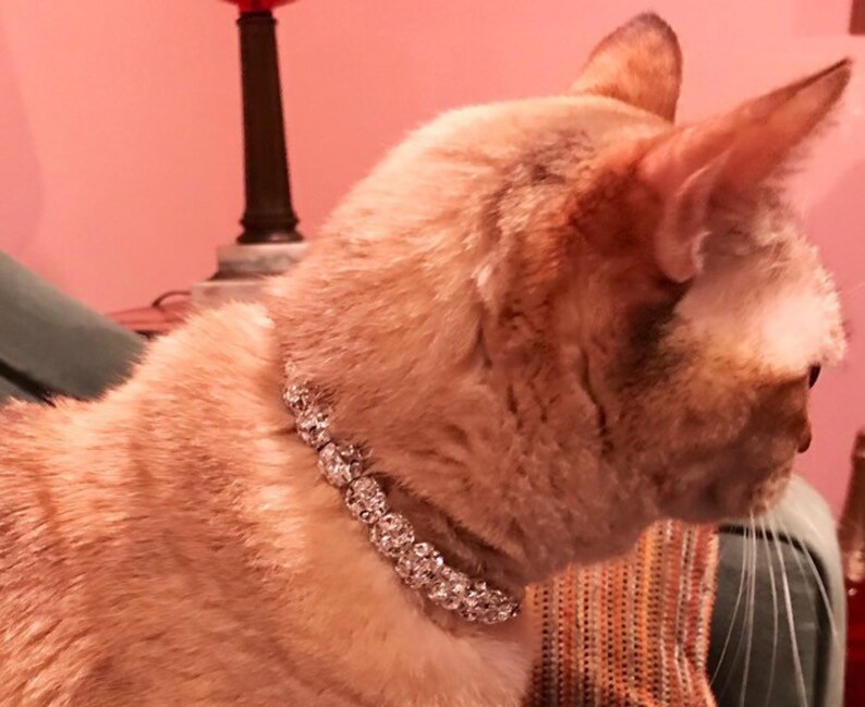 Sparkly Rhinestone Cat Collar - Etsy