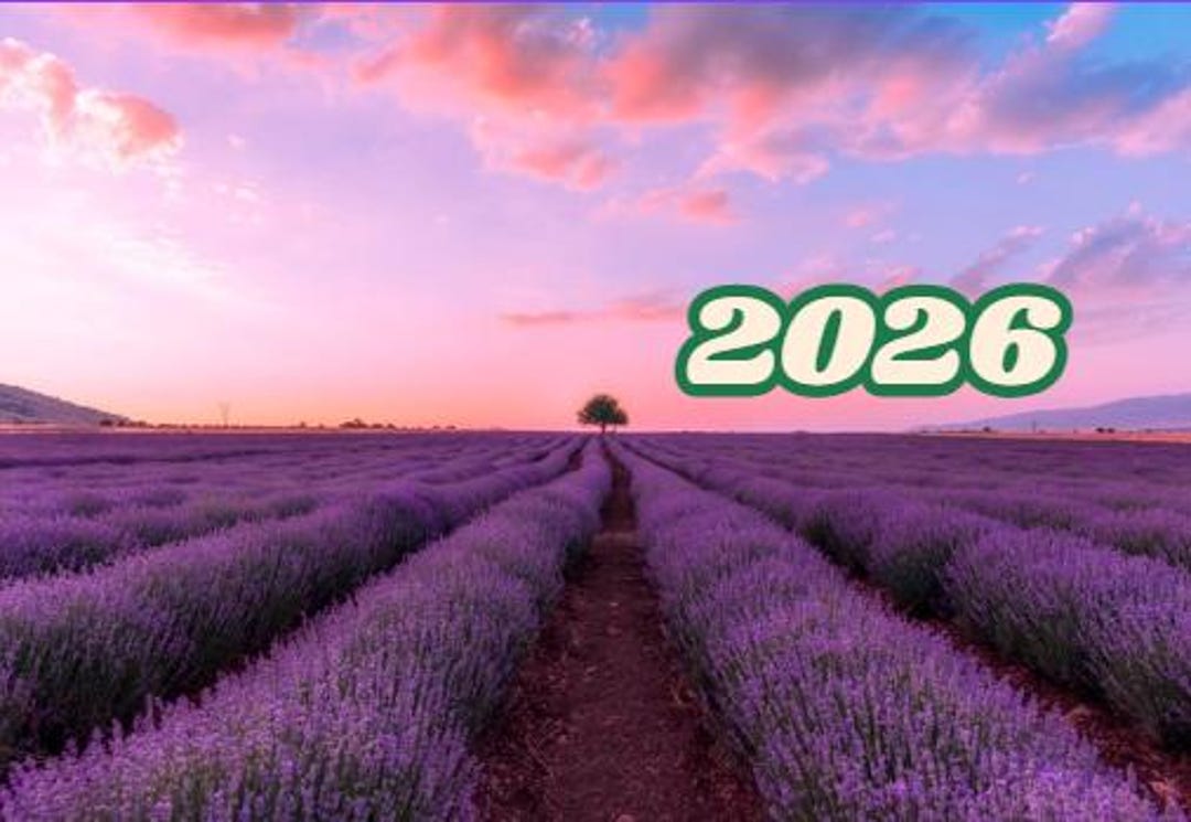2026 Scenery Calendar Template I Editable in Canva I 6 Page Minimalist ...