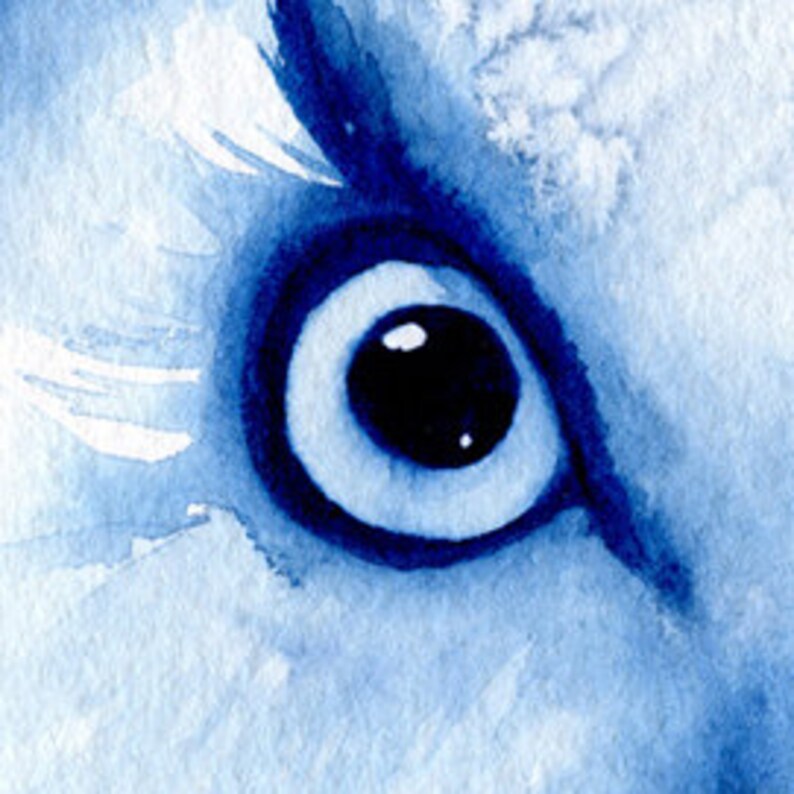 Perspicacity Owl A2 blue limited edition watercolour art | Etsy