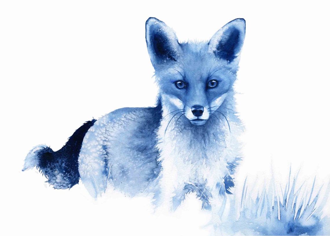 Fox Print Who Dunnit - Blue Watercolours - Etsy