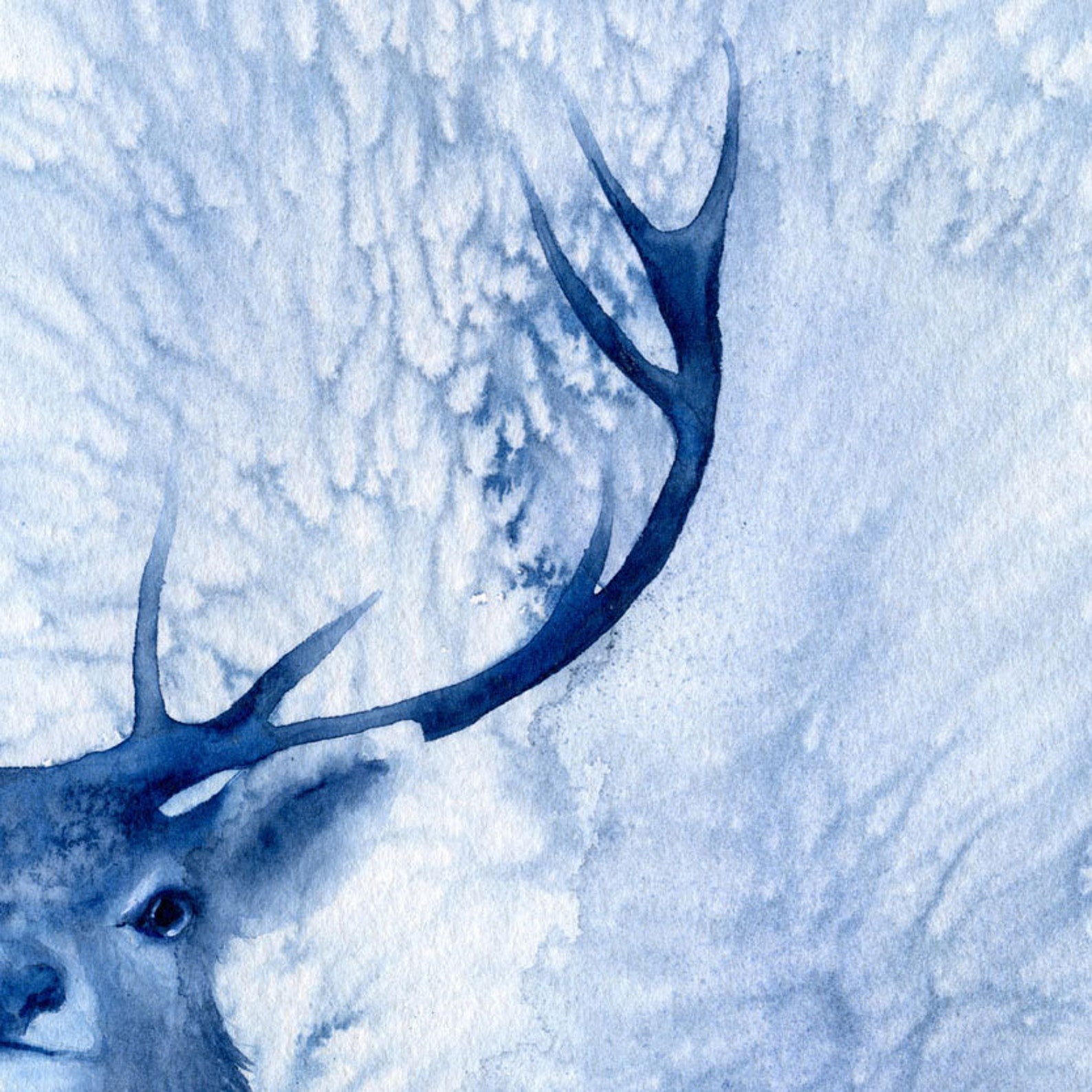 The Seeker - Blue Stag Deer Watercolour Painting - A3 Archival Limited ...