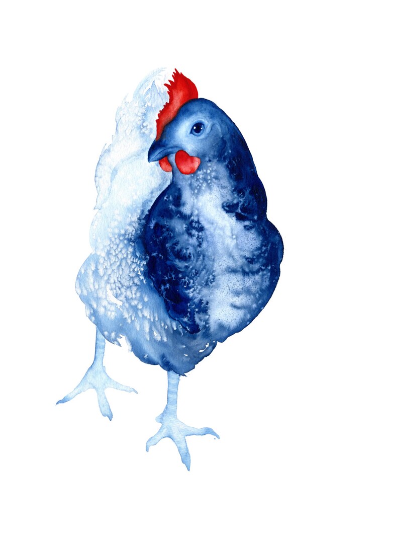 Curiosity the Chicken Art Print - A3 Blue and Red Limited Edition Bird ...
