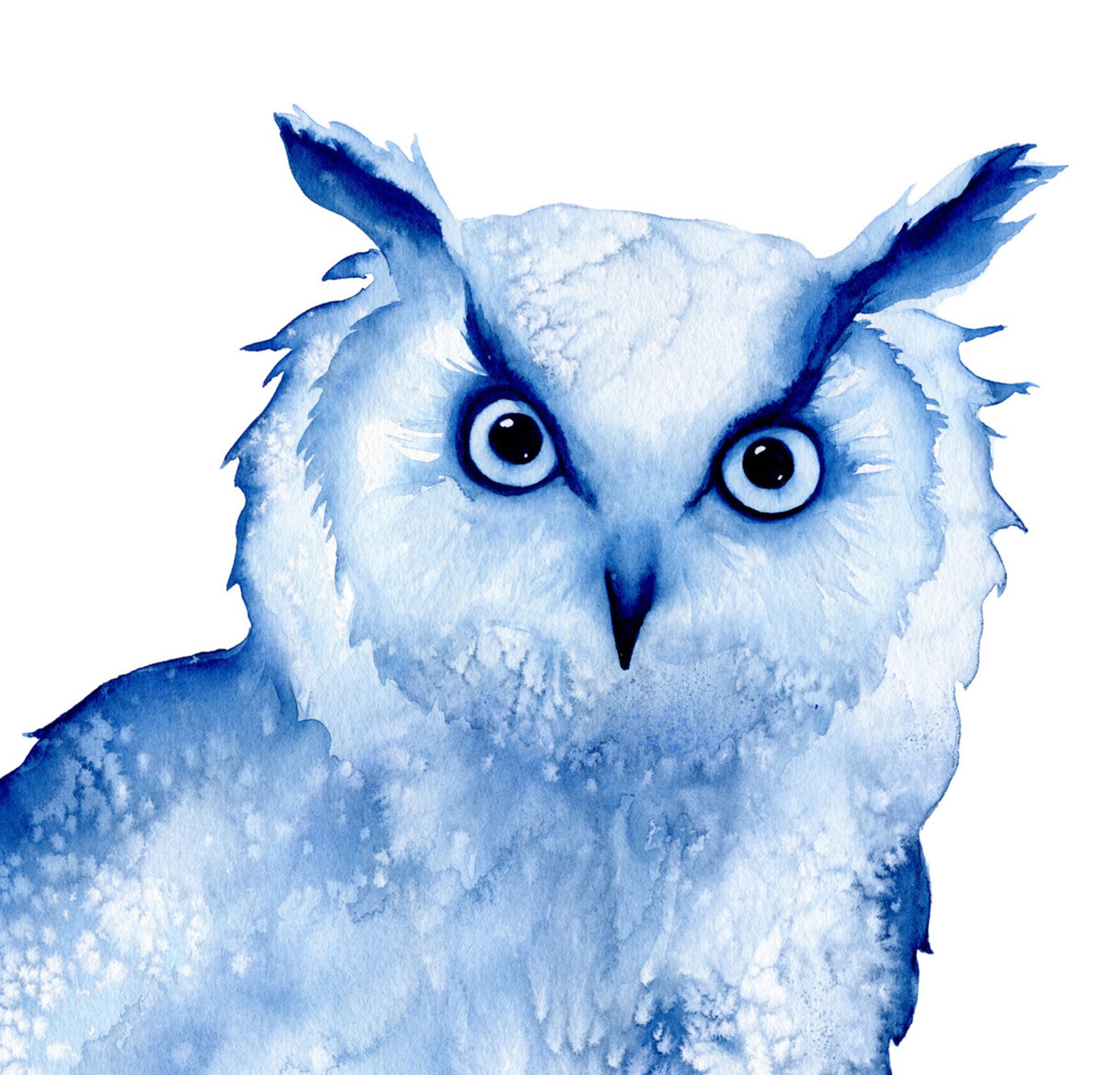 Perspicacity Owl A2 Blue Limited Edition Watercolour Art - Etsy