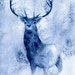 The Seeker - Blue Stag Deer Watercolour Painting - A3 Archival Limited ...