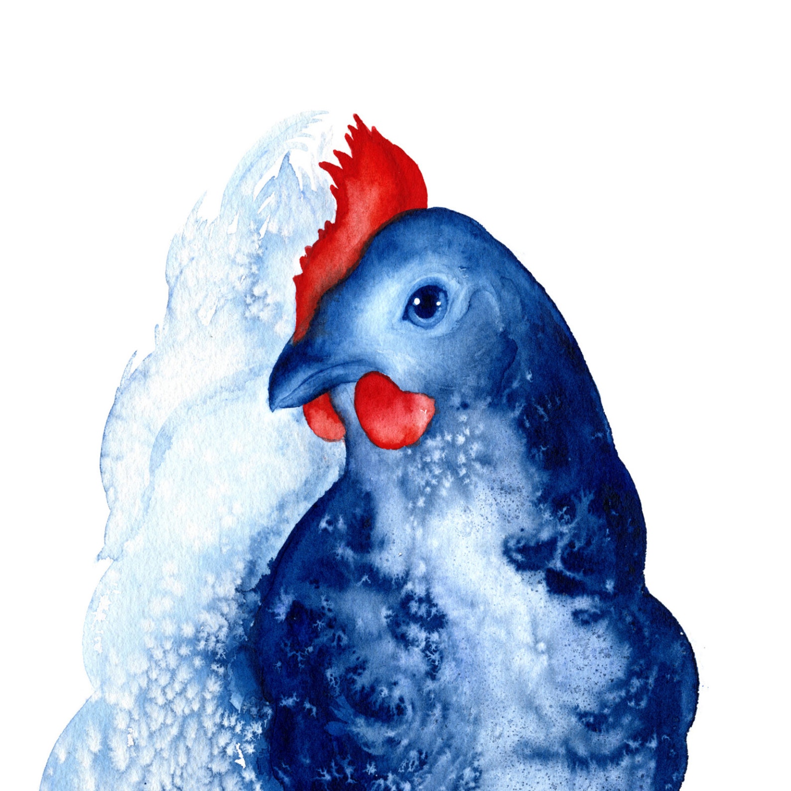 Curiosity the Chicken Art Print - A3 Blue and Red Limited Edition Bird ...