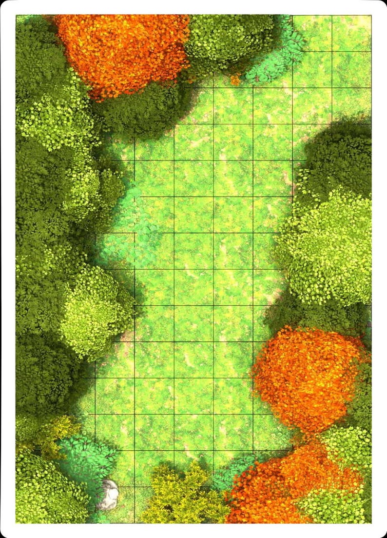 A3 Battle Map Bundle: Series 1 Small Maps for TTRPG & VTT (digital ...