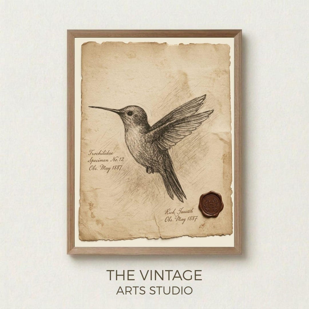Vintage Hummingbird Wall Art Printable, Antique Bird Illustration ...