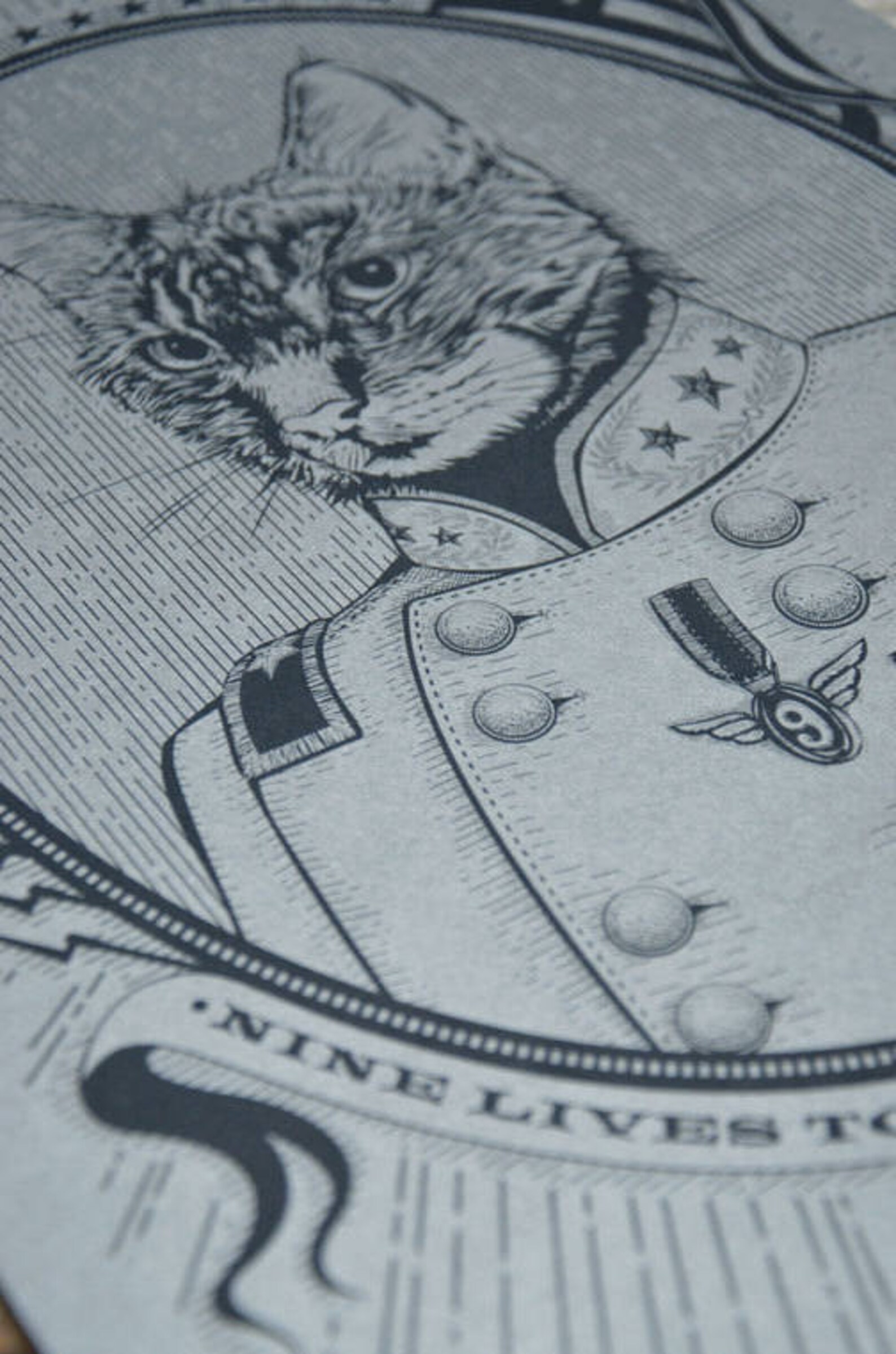 General Cat POSTER 12 X 18 Animal Art Print Feline - Etsy