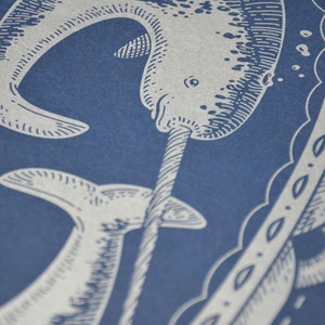 Narwhal - Unicorn of the Sea POSTER 12" X 18" Narwhale Narwhals Arctic ...