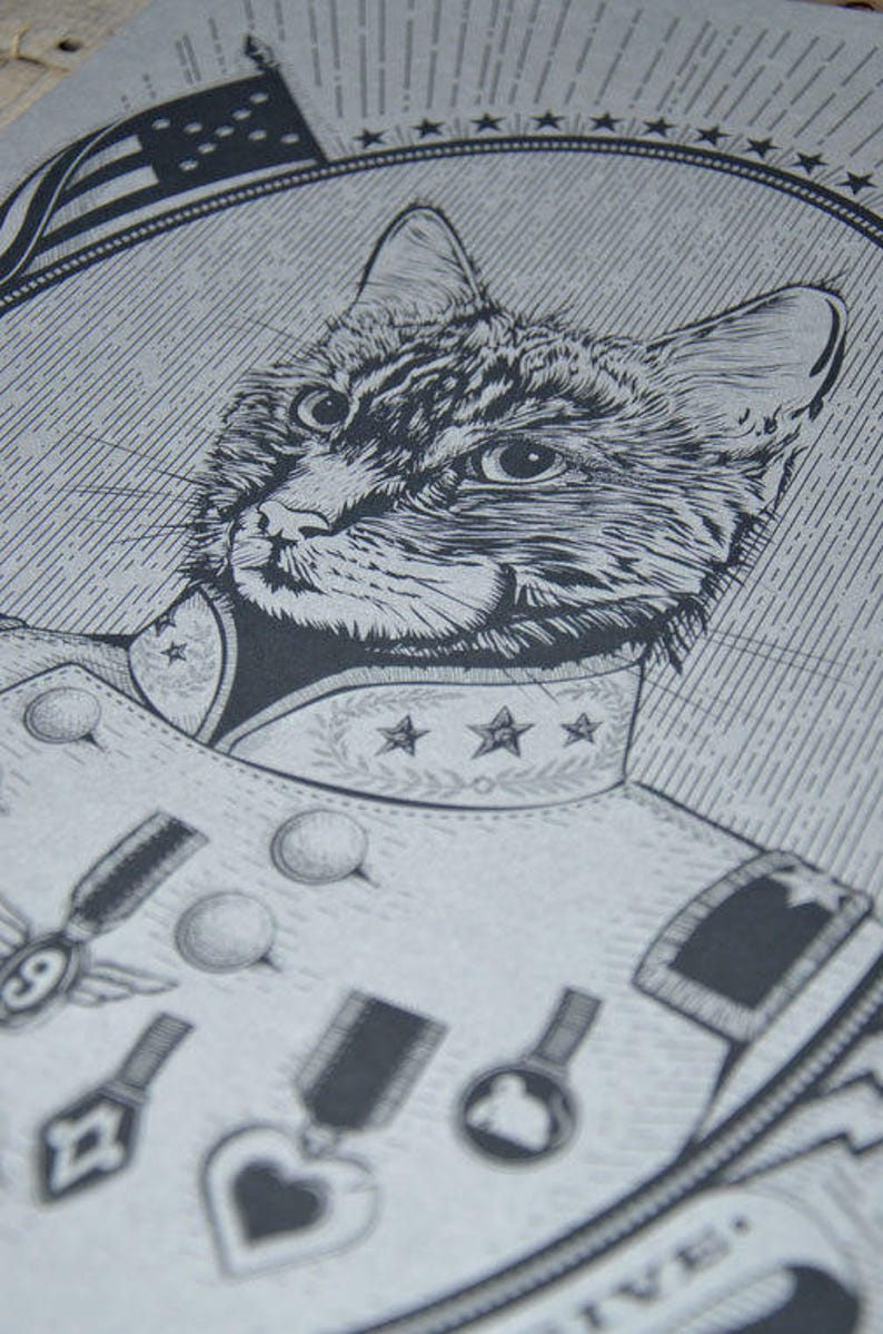General Cat POSTER 12 X 18 Animal Art Print Feline - Etsy